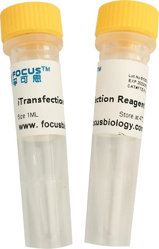 i Trans® Transfection Reagent-常见分子生物学试剂-质粒/慢病毒/稳转株/crispr-cas9基因敲除/上海孚可 ...